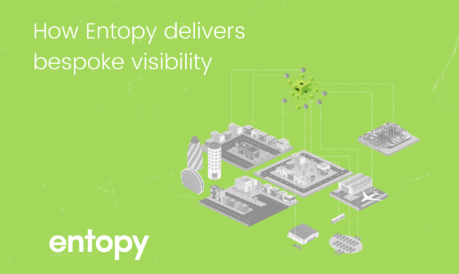How Entopy delivers bespoke visibility - Entopy - Entopy