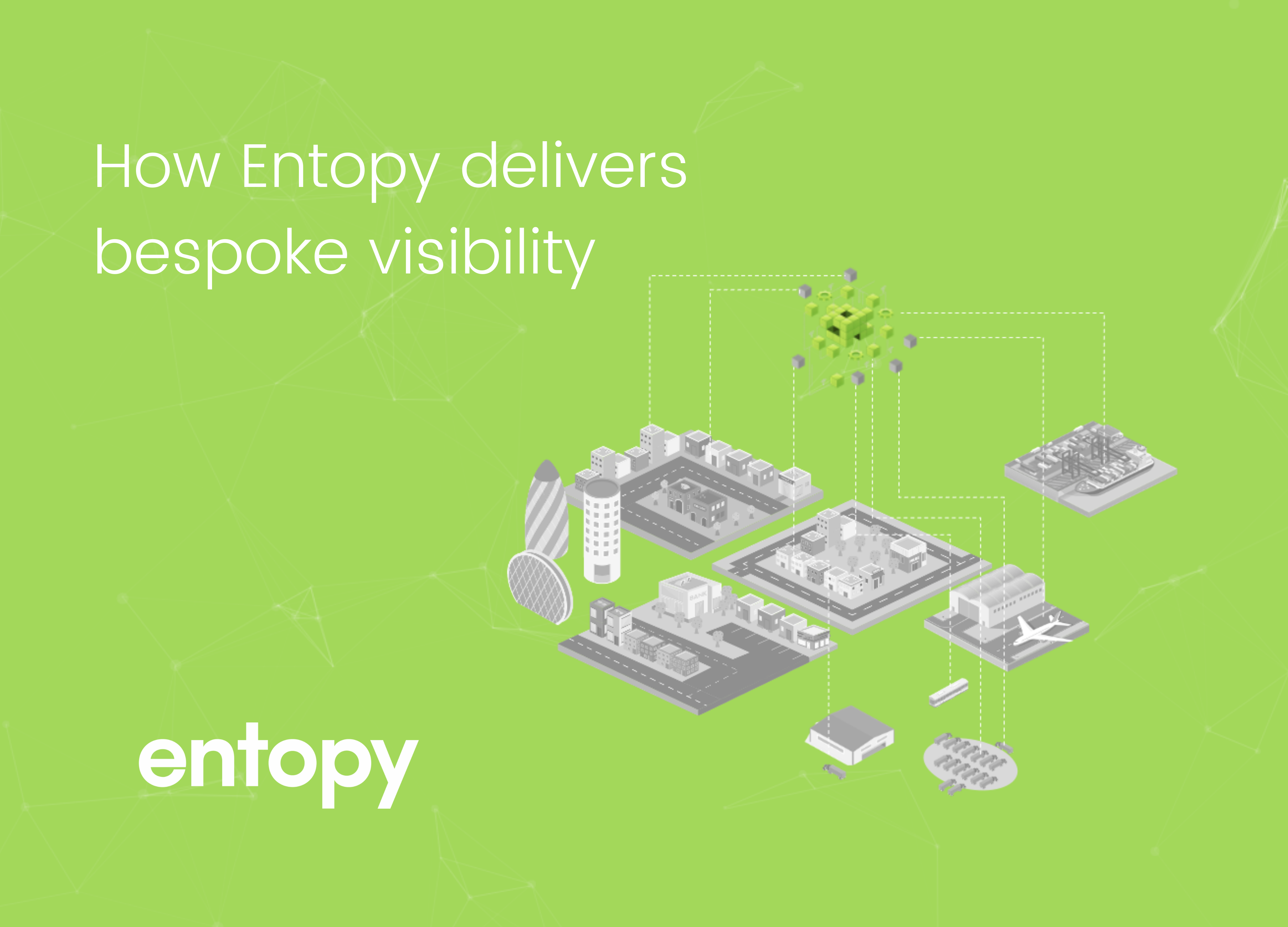 How Entopy delivers bespoke visibility - Entopy - Entopy